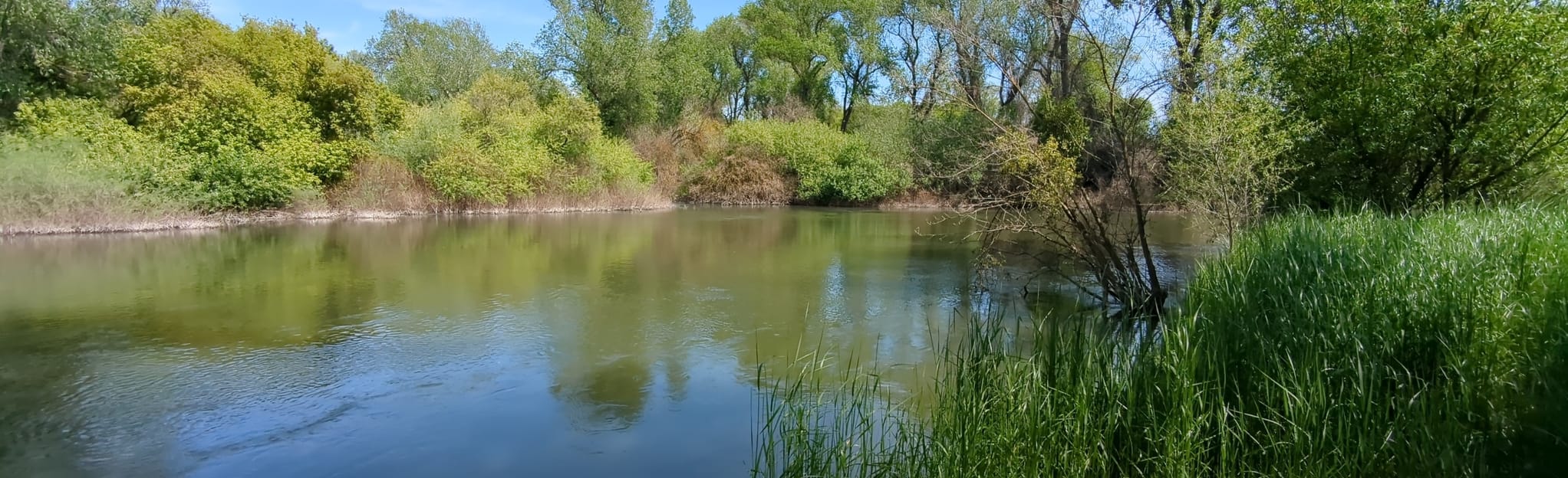 Stanislaus River Trail in Ripon: 286 Reviews, Map - California | AllTrails