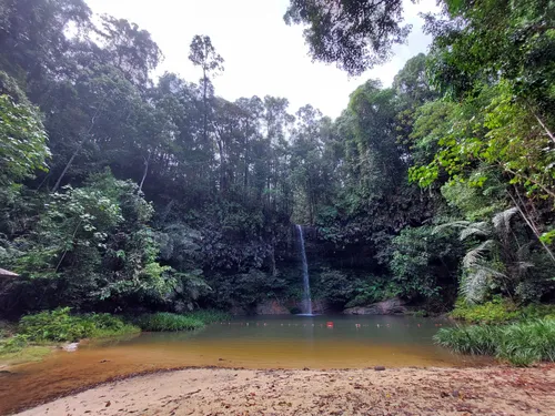 10 Best Trail Running Trails in Lambir Hills National Park | AllTrails