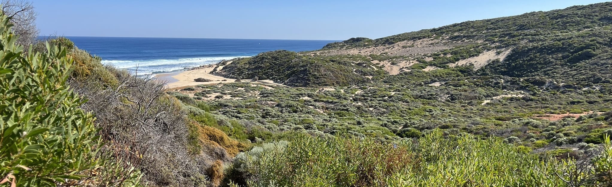 Quinninup Falls Track, Western Australia, Australia - 217 Reviews, Map ...