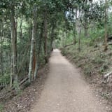Mt Coot-tha Summit Track, Queensland, Australia - 409 Reviews, Map ...