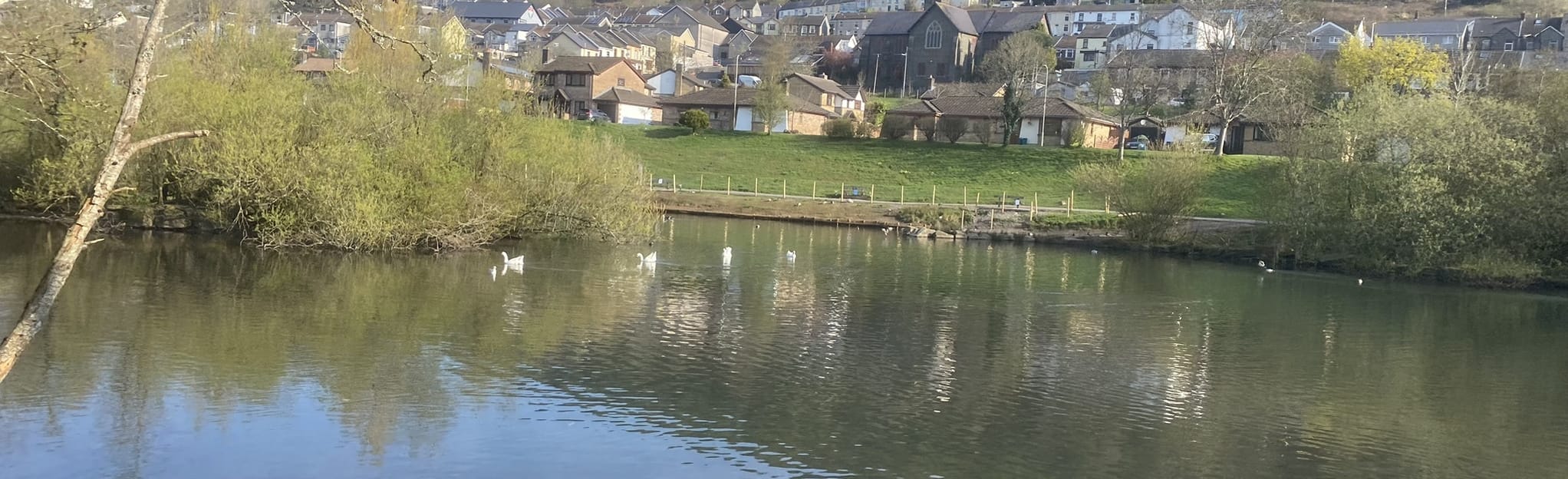 The Clydach Lakes: 50 Reviews, Map - Rhondda, Wales | AllTrails