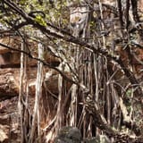 Kranskloof Hiking Trail, North West, South Africa - 110 Reviews, Map ...