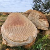 Kranskloof Hiking Trail, North West, South Africa - 110 Reviews, Map ...