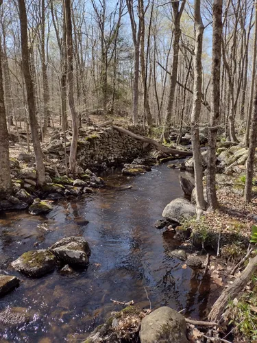 Best Hikes and Trails in Upper Pine Brook Preserve | AllTrails