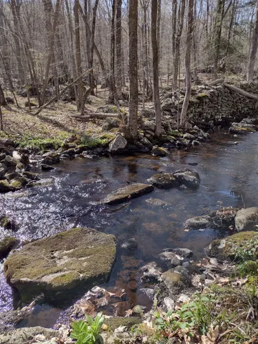 Best Hikes and Trails in Upper Pine Brook Preserve | AllTrails