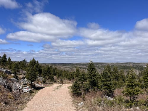 Best Hikes and Trails in New Ross | AllTrails
