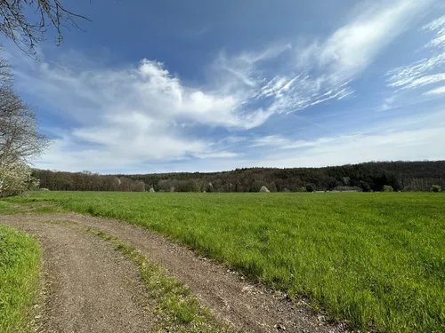 2023 Best Forest Trails in Mackenbach | AllTrails