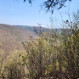 Tioga West Rim Trail, Pennsylvania - 517 Reviews, Map | AllTrails