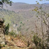 Tioga West Rim Trail, Pennsylvania - 517 Reviews, Map | AllTrails