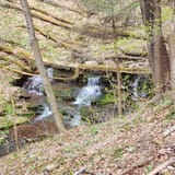 Tioga West Rim Trail, Pennsylvania - 517 Reviews, Map | AllTrails