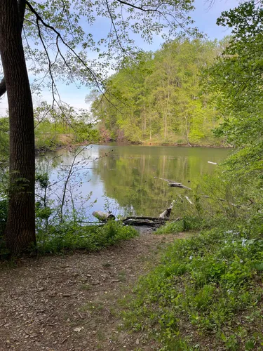 Best Hikes and Trails in Conowingo | AllTrails