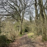 Donnington Castle and Snelsmore Common Circular, Berkshire, England ...