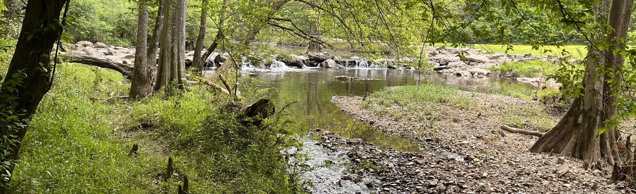 Boyle Park Mountain Bike Trail , Arkansas - 45 Reviews, Map | AllTrails