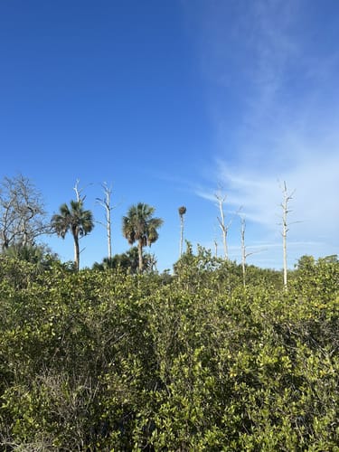 Best Hikes and Trails in Childs Park | AllTrails
