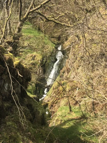 10 Best Walking Trails in Machynlleth | AllTrails