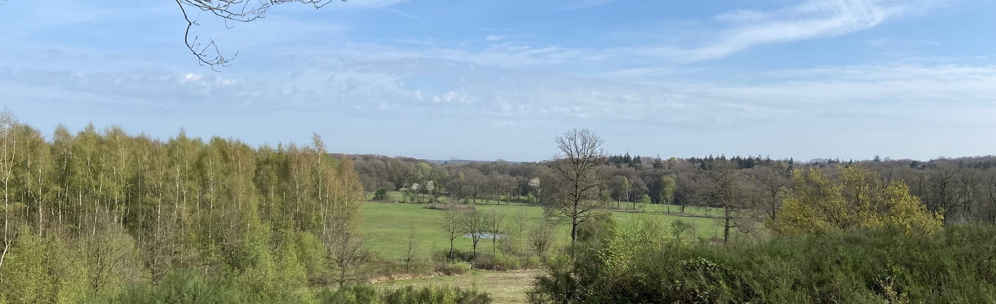 Tankenberg Groene Wandelroute : 90 foto's - Overijssel, Nederland ...