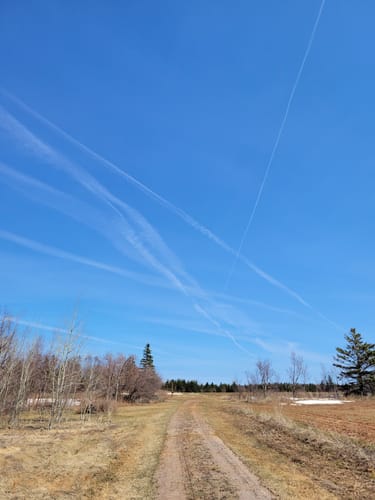 Best Hikes and Trails in Cavendish | AllTrails