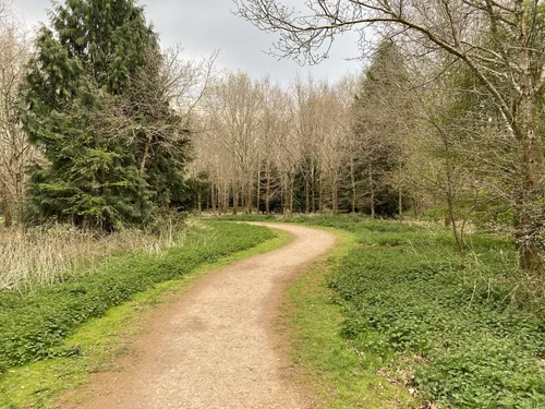 10 Best Trails, Walks, and Paths in Swindon | AllTrails