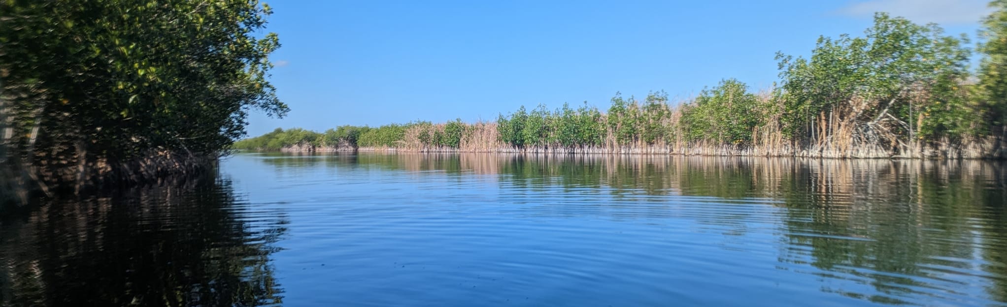 Sea Grape Drive Canoe Trail: 24 Reviews, Map - Florida | AllTrails