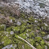 Granite Falls (Fish Ladder) Trail, Washington - 526 Reviews, Map ...