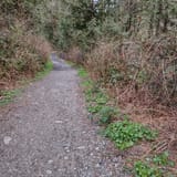 Granite Falls (Fish Ladder) Trail, Washington - 526 Reviews, Map ...