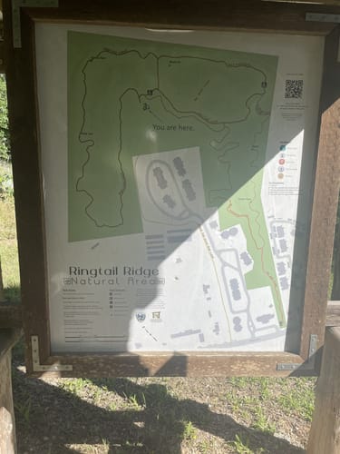 Best Hikes and Trails in Ringtail Ridge Natural Area | AllTrails