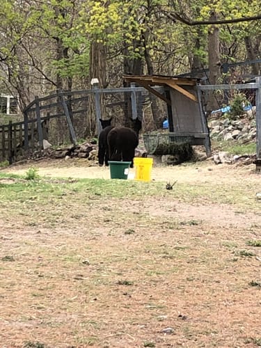 Best Hikes and Trails in Whipple Hill Conservation Lands | AllTrails