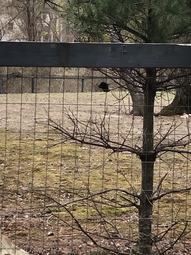 Best Hikes and Trails in Whipple Hill Conservation Lands | AllTrails