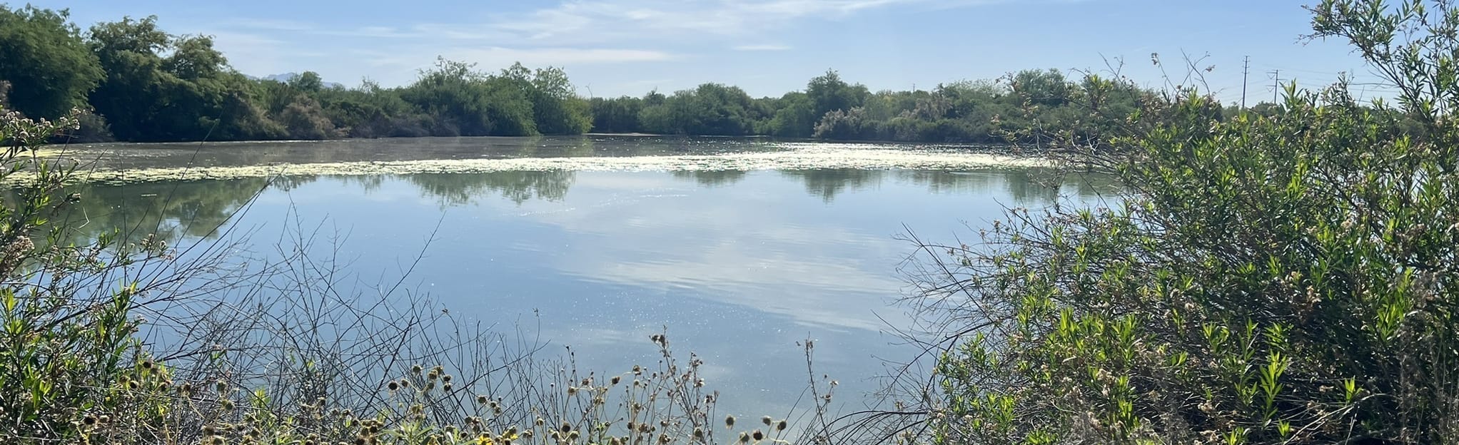 Water Ranch Trail: 2,389 Reviews, Map - Arizona | AllTrails