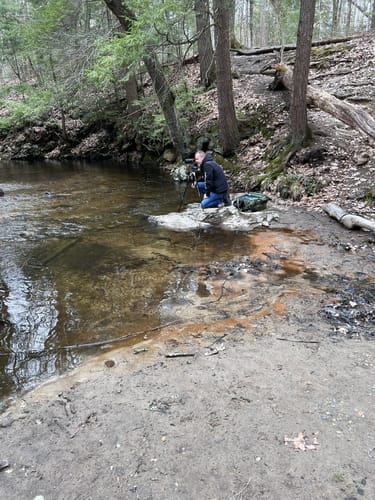 Best Hikes and Trails in Mill River Recreation Area | AllTrails