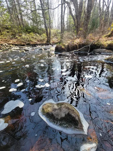 Best Hikes and Trails in Sand Pond National Wildlife Area | AllTrails