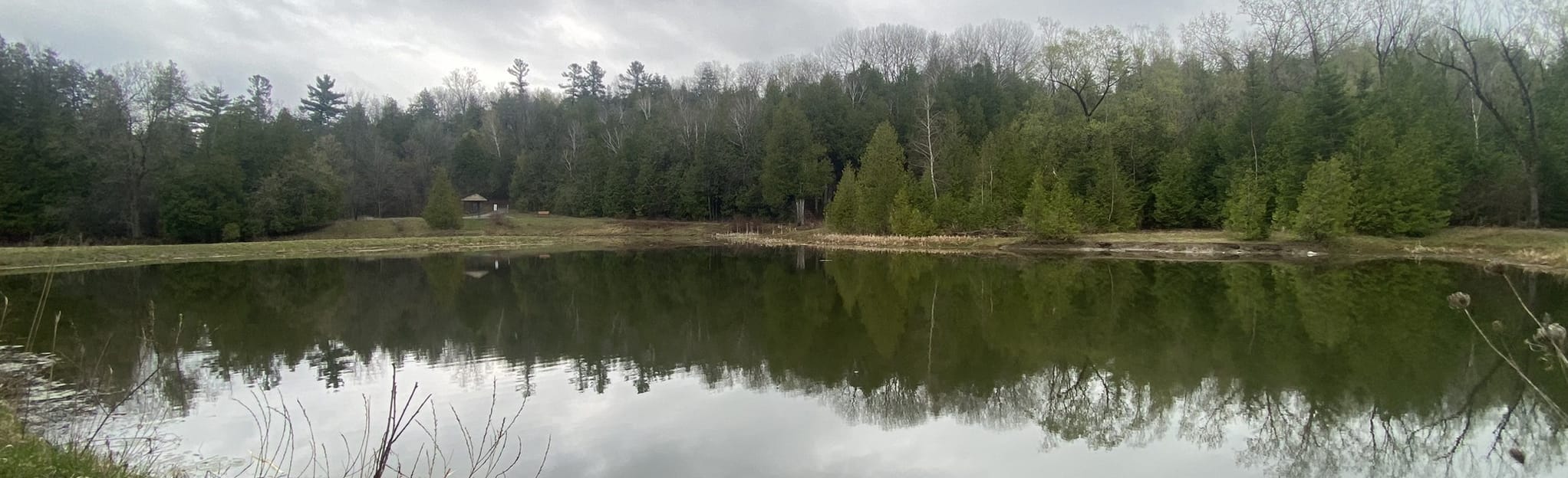 Heber Down Conservation Area Trail: 825 Reviews, Map - Ontario, Canada ...
