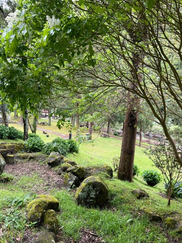 Best Hikes and Trails in Reserva Natural do Pico da Vara | AllTrails