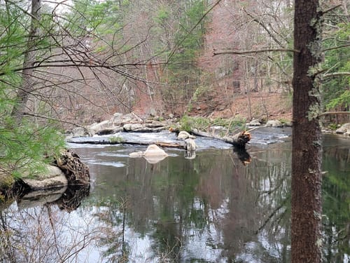 Best Hikes and Trails in Wildcat Falls Conservation Area | AllTrails