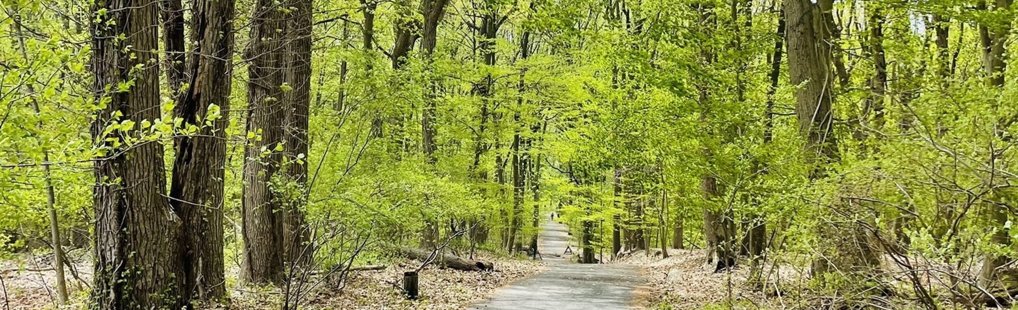 Staten Island Greenbelt Multipurpose Trail, New York - 104 Reviews, Map ...