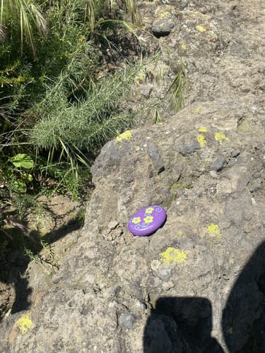 Best Hikes and Trails in El Modena Open Space | AllTrails
