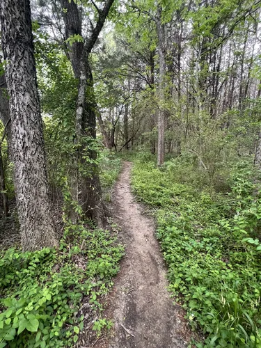 Best Easy Trails in Bonham State Park | AllTrails