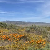 North Loop, Antelope Butte and Lightning Bolt Loop, California - 385 ...
