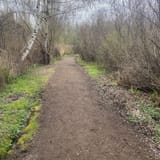 Mercer Slough Nature Park, Washington - 846 Reviews, Map | AllTrails