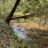 Big Spring Hollow Falls Trail, Ohio - 286 Reviews, Map | AllTrails