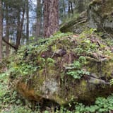 Big Spring Hollow Falls Trail, Ohio - 286 Reviews, Map | AllTrails