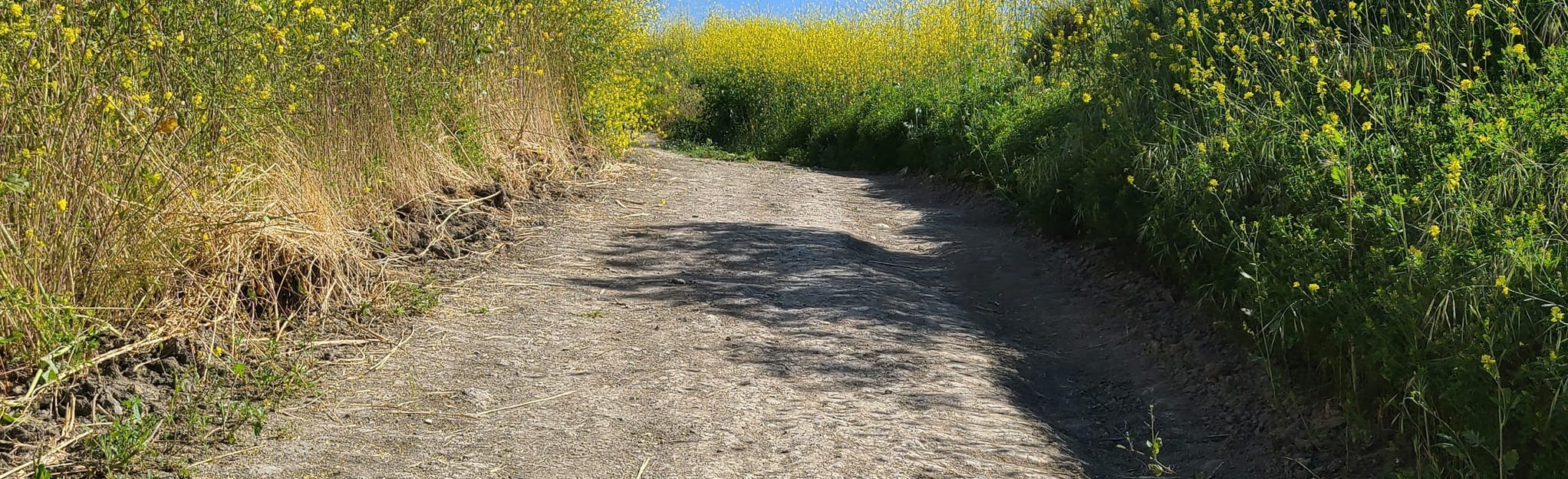 AllTrails | Dreaded Hill and Whiting Road Loop: 732 Reviews, Map ...