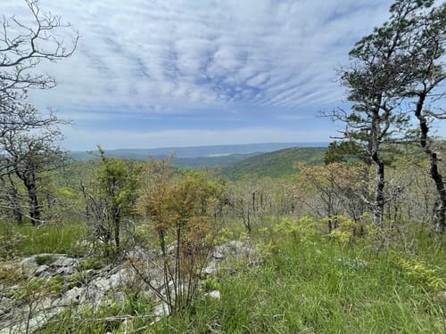 Best Hikes and Trails in Hodgen | AllTrails