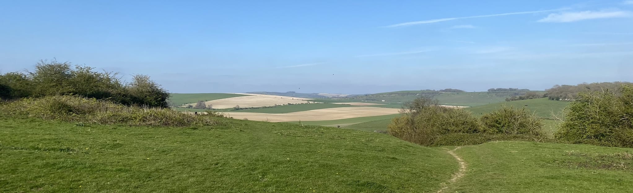 Honeysuckle Lane, Clapham Wood Mystery and Clapham Circular: 6 Reviews ...