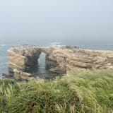 Point Buchon Trail, California - 509 Reviews, Map | AllTrails