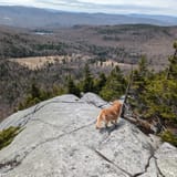 Wheeler Mountain Trail, Vermont - 365 Reviews, Map | AllTrails