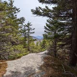 Wheeler Mountain Trail, Vermont - 365 Reviews, Map | AllTrails