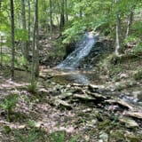 Peter's Creek Heritage Trail, South Carolina - 345 Reviews, Map | AllTrails