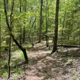Peter's Creek Heritage Trail, South Carolina - 345 Reviews, Map | AllTrails