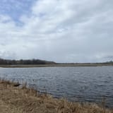 Navarino Nature Center Loop Trail, Wisconsin - 169 Reviews, Map | AllTrails